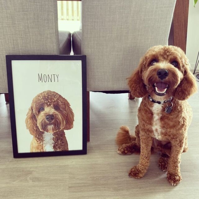 21 Best Picture Album Ideas for The Family - Anuri's Journey