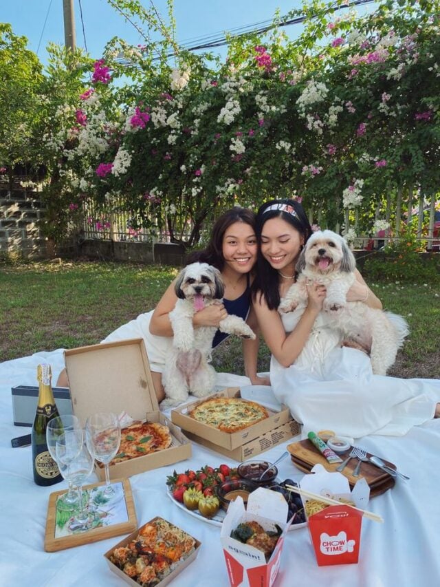 29 Fun and Creative Ways to Celebrate Your Pet’s Birthday - Anuri's Journey