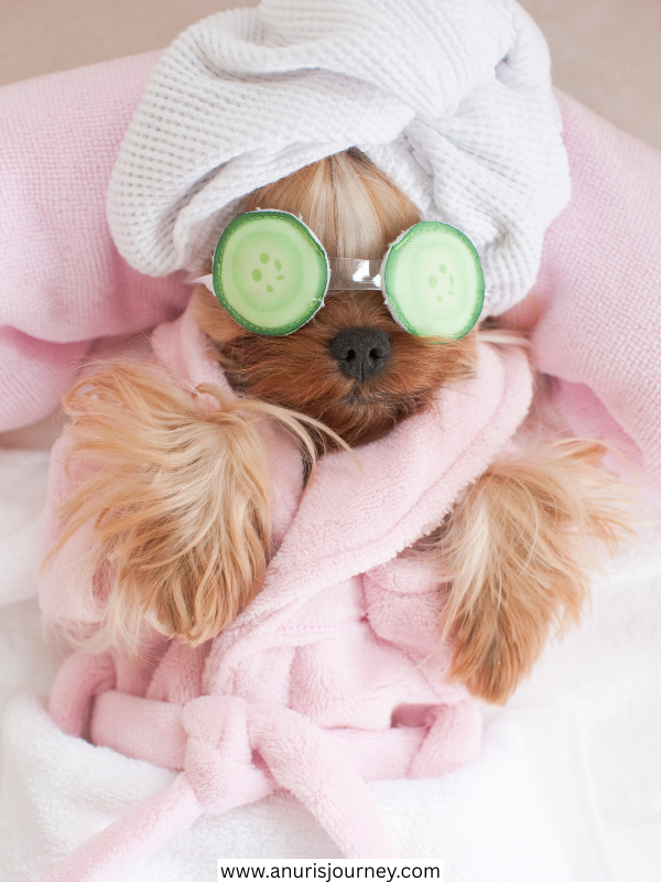29 Fun and Creative Ways to Celebrate Your Pet’s Birthday - Anuri's Journey